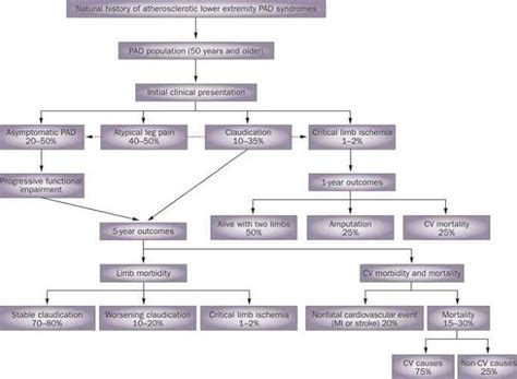 Functional Peripheral Arterial Disease A Comprehensive Overview