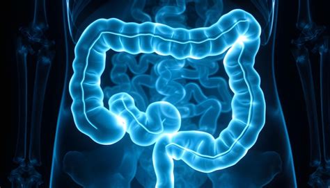 Lower Gastrointestinal Gi Tract Radiography Lower Gi Or Barium Enema An