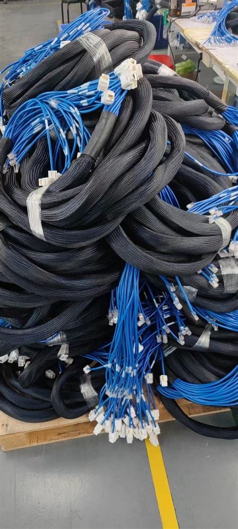 Buy Cat6a Pre Terminated Copper Trunk Cable From Easy Link