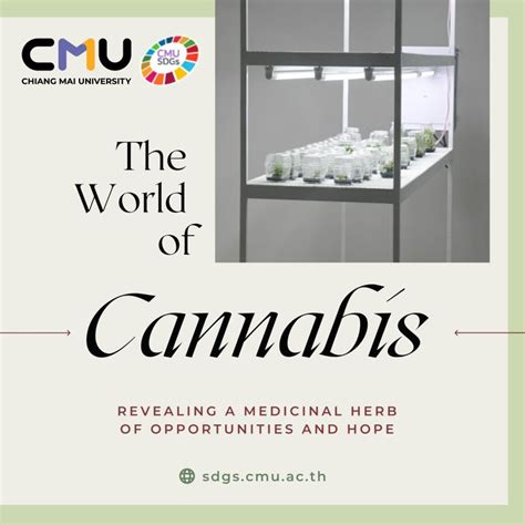 Phone Pyae Soe Posted On Linkedin