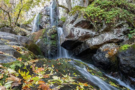 В полите на Витоша от Бояна до Боянския водопад и Боянското езеро