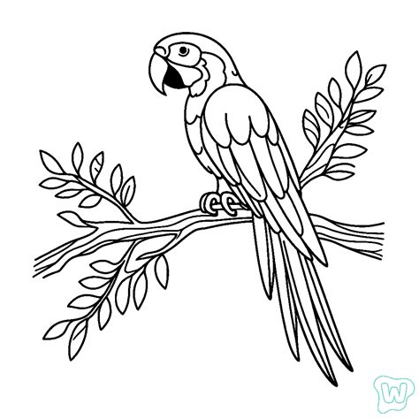 35 Macaw Coloring Pages Free Printable Pages