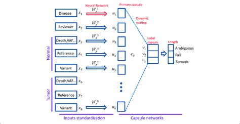 Architecture Of Multicapsnet With Two Layers The First Layer