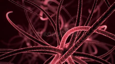 3d Animation Neuron Cells Sending Electrical Information Synapse