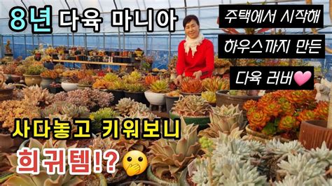 8년 다육 마니아의 가격대가 있는 입 벌어지는 다육ㅣ군산시 성산면 상흥길 15 5010 9653 5673 ㅣ다육이 키우기 ㅣ신쌤의다다육선 Succulent