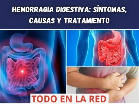 Hemorragia Digestiva Síntomas Causas Y Tratamiento Todo En La Red