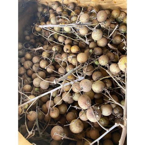 Jual Lengkeng Lokalbangkok 500gr Buah Lengkeng Lokalbangkok Bandung Buah Segar Warung Ceu