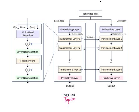 huggingface distilbert scaler topics