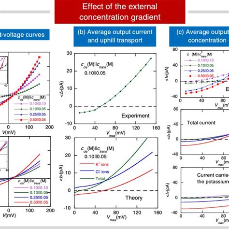 Pdf Electrical Pumping Of Potassium Ions Against An External
