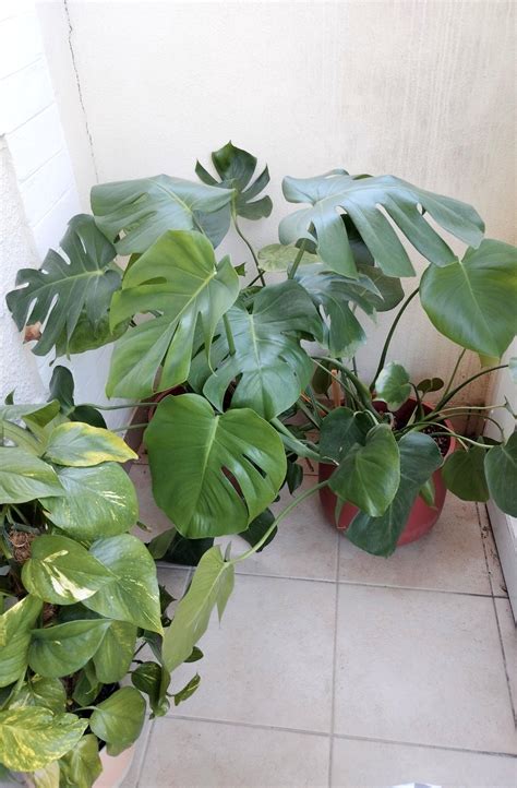 Dans Lappart De Priscillia Jai Eu Un Coup De Coeur Lorsque Jai Aperçu La Vue De L