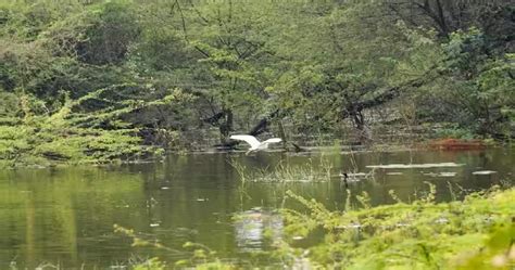 1 Day Travel Itinerary For Visiting Erode Chennai Orbit