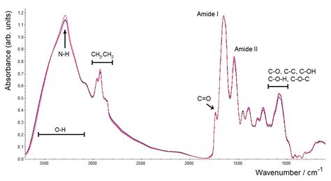 Fourier Transform Infrared Ftir Spectroscopic Analyses Of