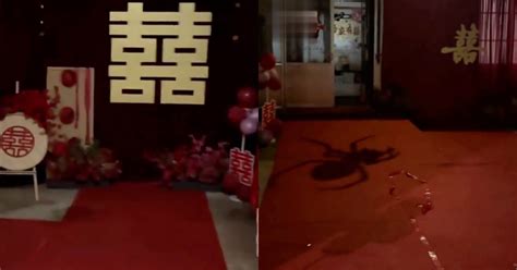 “喜虫天降” 山东婚宴现场惊现蜘蛛巨影（视频） 婚礼现场 新唐人电视台