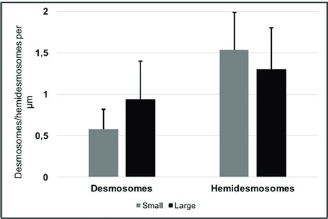 Quantification Of Desmosome And Hemidesmosome Density Bar Chart