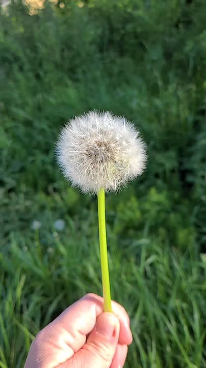 [video] Tanja Moisio On Linkedin Kesätyöt Työelämä