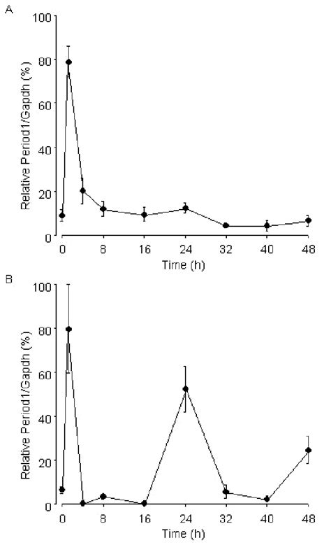 Effect Of Brief Exposure To Norepinephrine Ne A And Camp Analog B