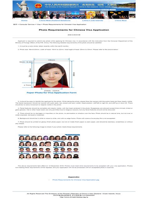 Chinese Visa Photo Requirements Pdf Travel Visa Glasses