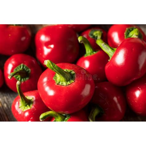 Rangeview Seeds Seeds For Sustainability