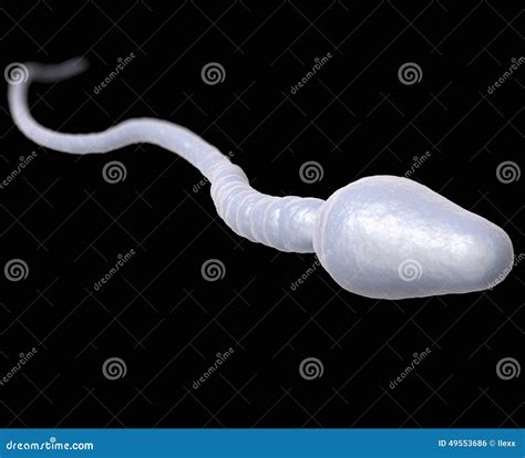 A Sperm Cell Frozen Into Ice Cube Royalty Free Illustration 117737412