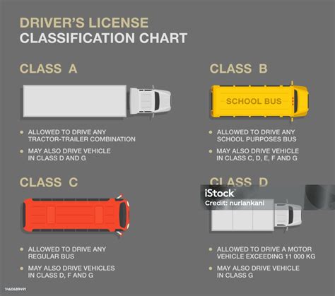 Types Of Driving Licences And Descriptions Drivers License