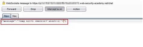 Different Websocket Vulnerabilities Types And Mitigation