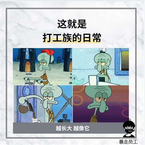 暴走員工 Boom Go Employee 【小时候我以为我是海绵宝宝 🌝】 【长大才发现原来我是章鱼哥 🐙】 小时候每天都在等周日的tv3 和每天5点tv9播放的spongebob 先