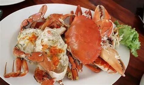 柿子的 死对头”，医生提醒：二者万不可同吃，吃柿子禁忌要牢记新闻看看