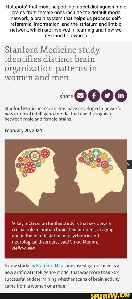 Hotspots That Most Helped The Model Distinguish Male Brains From