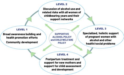 Supportive Alcohol Policy As A Key Component In Fasd Prevention