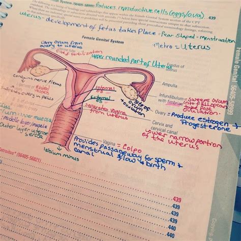 Medical Coding Certification Pass CPC 1ST ATTEMPT