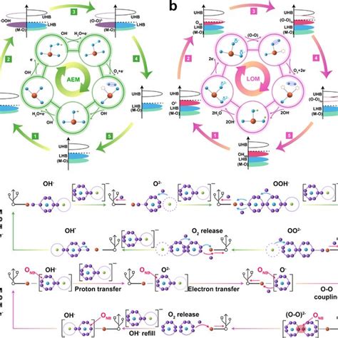 Pdf Understanding Of Oxygen Redox In Oxygen Evolution Reaction