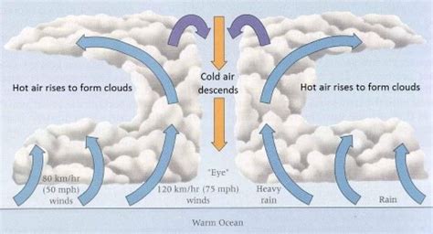 Tropical Cyclones Favorable Conditions For Formation Stages Of