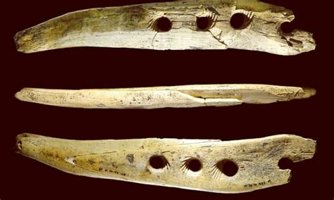 Homo Sapien Tools And Weapons