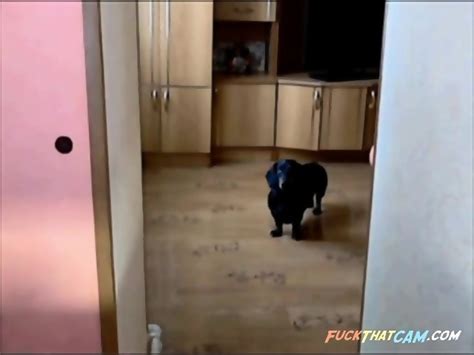 Real Sex Dream Eporner