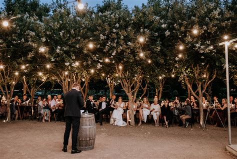 Wedding Festoon Lighting