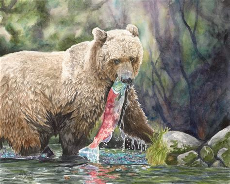 Grizzly Bear Eating Salmon