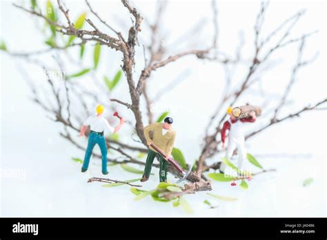 Humans Human Beings People Folk Persons Human Human Being Small