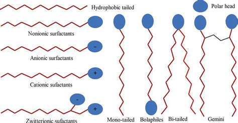 Structure And Applications Of Surfactants Intechopen
