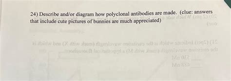 Solved 24 Describe Andor Diagram How Polyclonal Antibodies