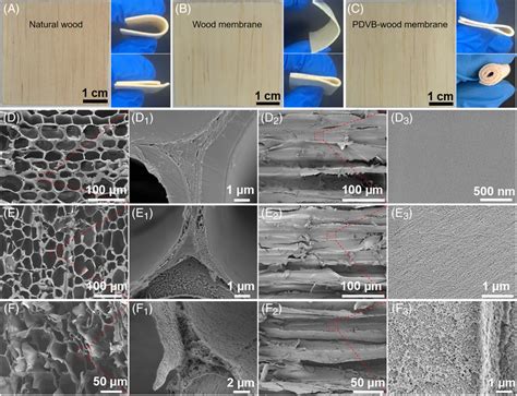 Structural Characterization Of Natural Balsa Wood Wood Membrane And