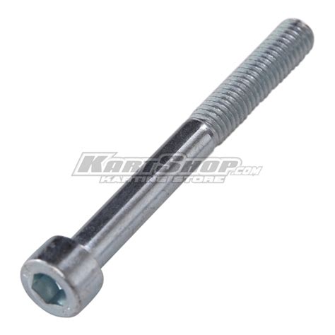 Bolt Allen M6 X 50 Mm