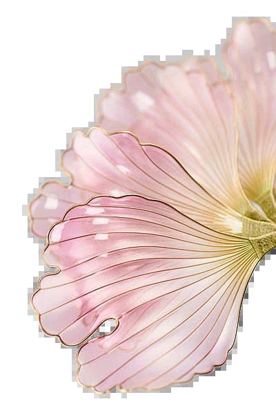 琉璃花 1 花瓣网