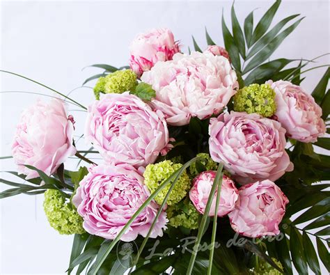 Ramo De Peonías Rosas Floristería La Rosa De Oro