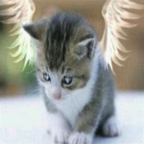 Killcam Rebzyyx Remix Single By Toshiko Mawalo Spotify