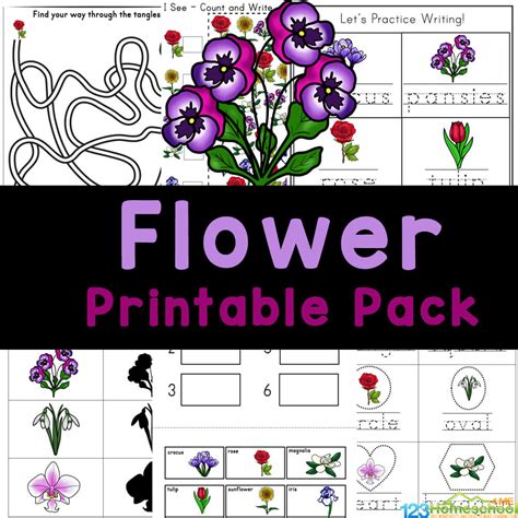Free Printable Flower Worksheets For Preschool And Kindergarten