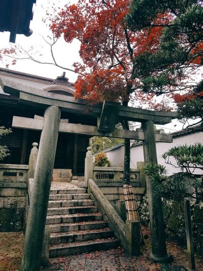 🍂🍁 Tumbex