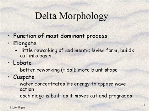 Deltaic Depositional Systems Modern And Ancient Arno River