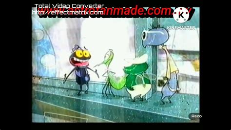 Mortein Shelltox Youtube