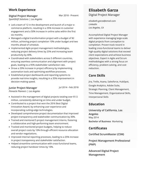 Project Management Resume Format Project Manager Resume Samples And