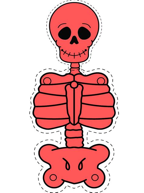 Pink Make Your Own Skeleton Poster 3 Pdf